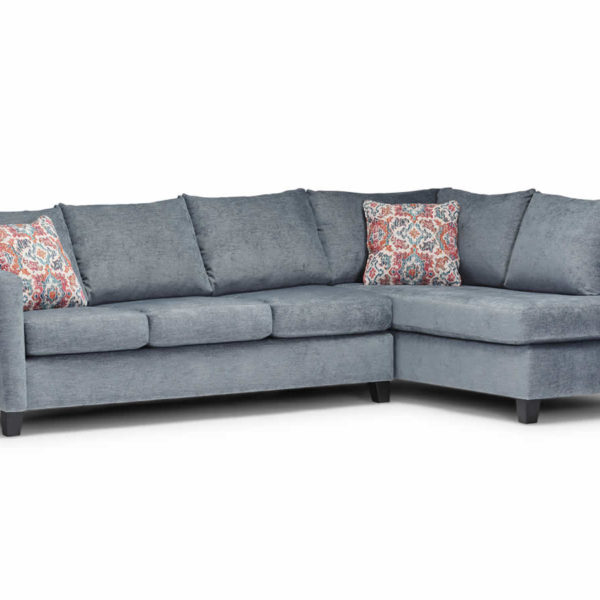 Dillon Sectional - Sofa So Good